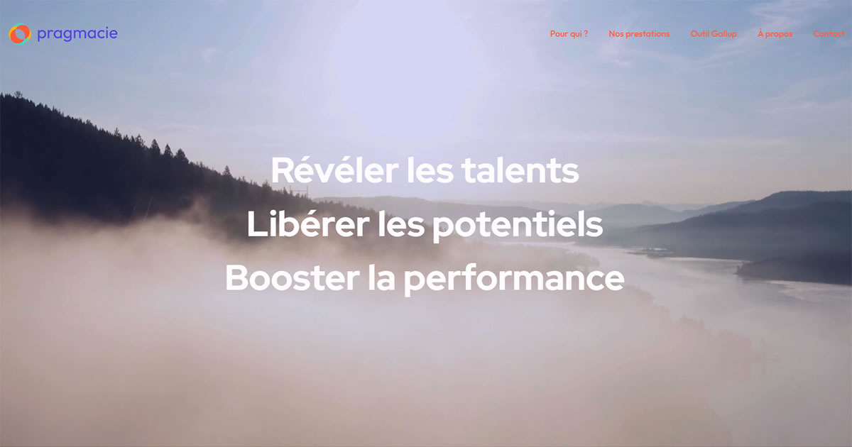 Gallup Test CliftonStrengths | Pragmacie